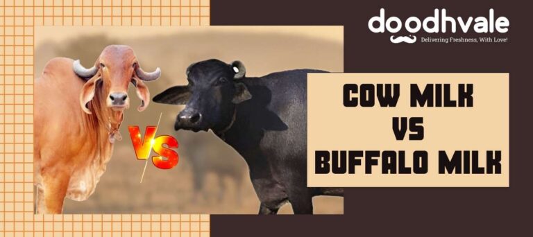 Buy Organic & Creamy Buffalo Milk In Delhi NCR (Free Delivery)