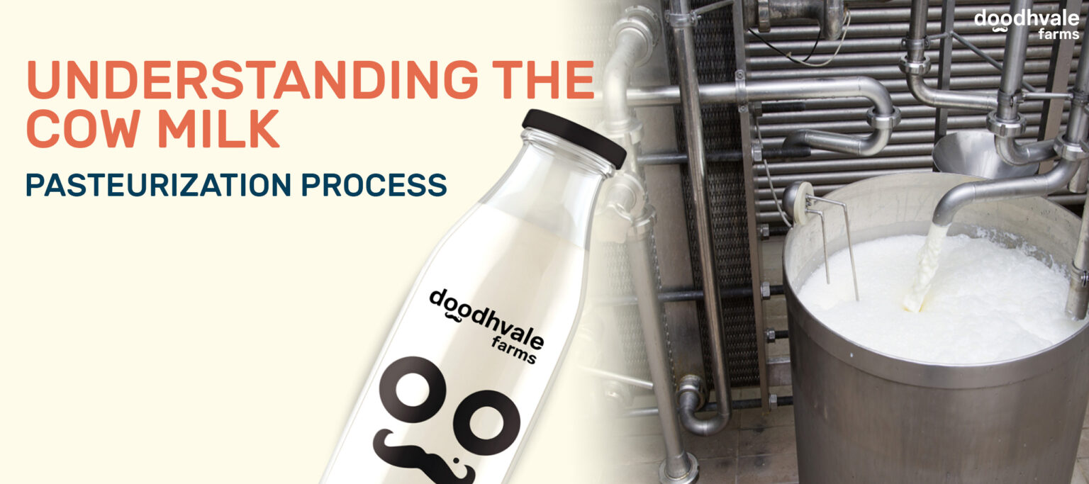 Cow milk Vs. Buffalo milk - Doodhvale